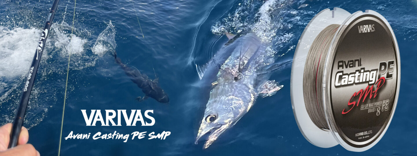 Avani Casting PE SMP