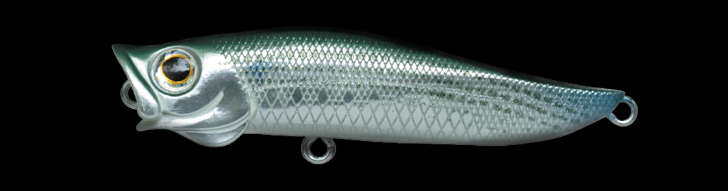 Ra Pop – Way Of Fishing