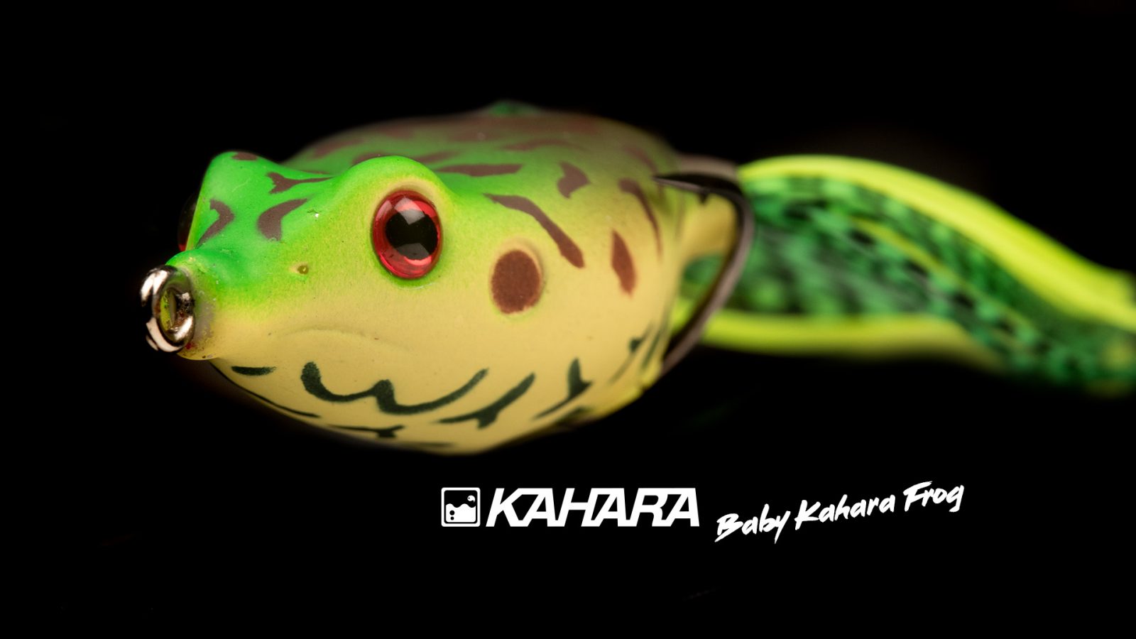 Baby Kahara Frog