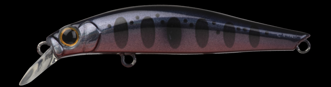 Artist FR55 – Way Of Fishing