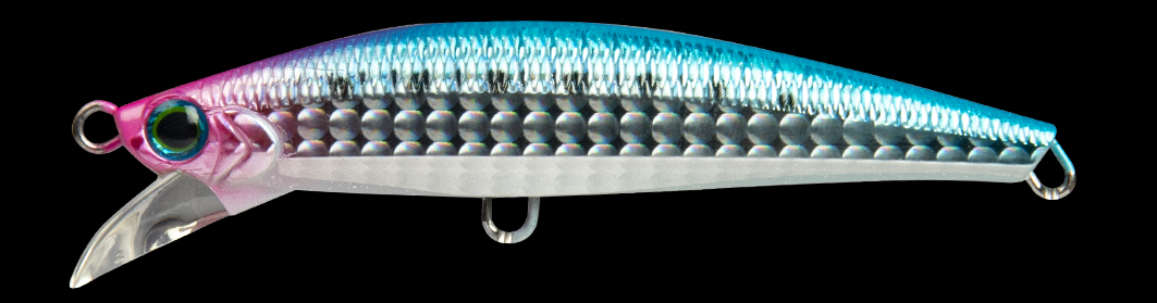 PINTAIL SAGOSHI TUNE – Way Of Fishing