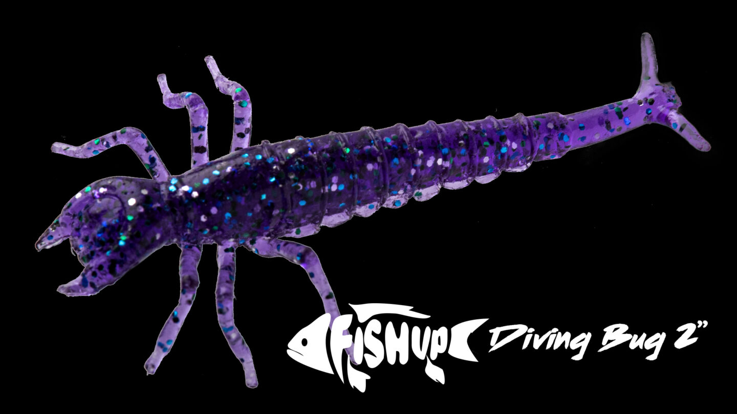 Diving Bug