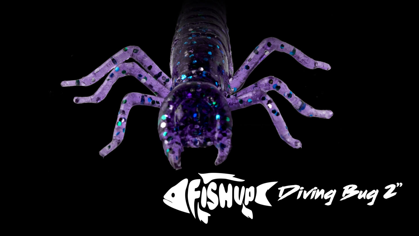 Diving Bug