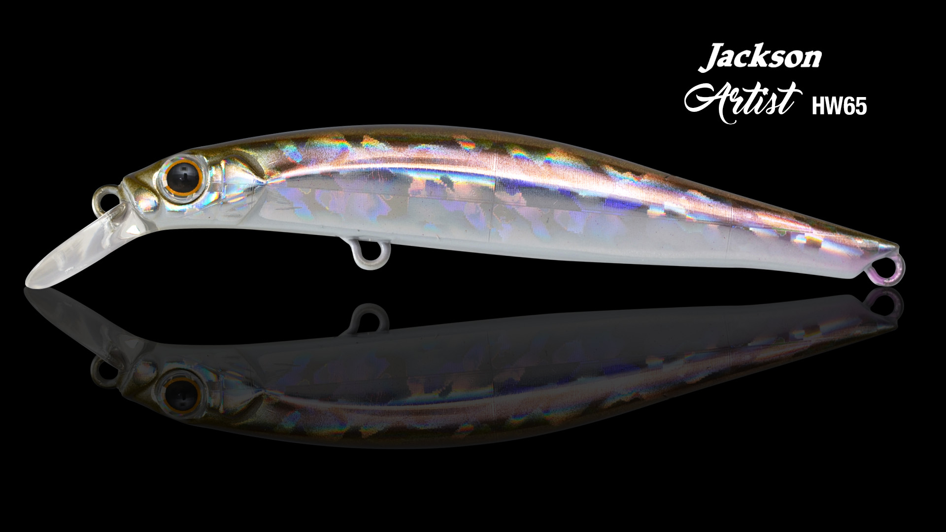 Jackson Artist Heavy Weight 65 – Way Of Fishing