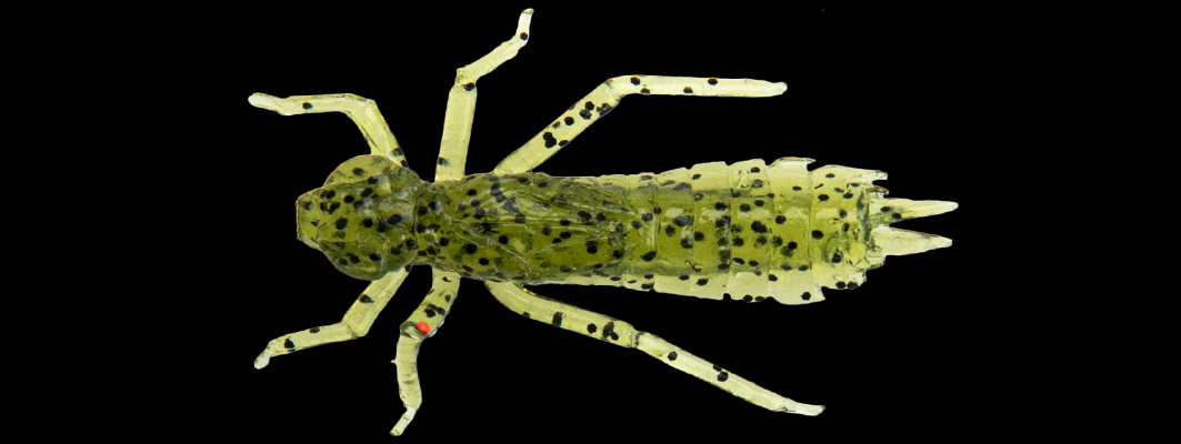 DRAGONFLY – Way Of Fishing