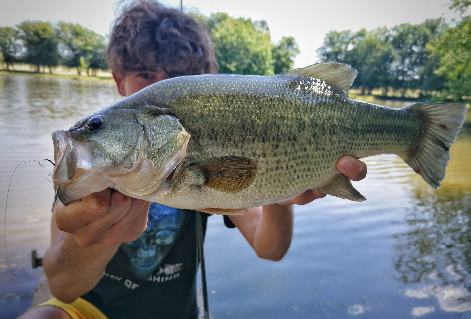 Comment s'attaquer aux Black bass