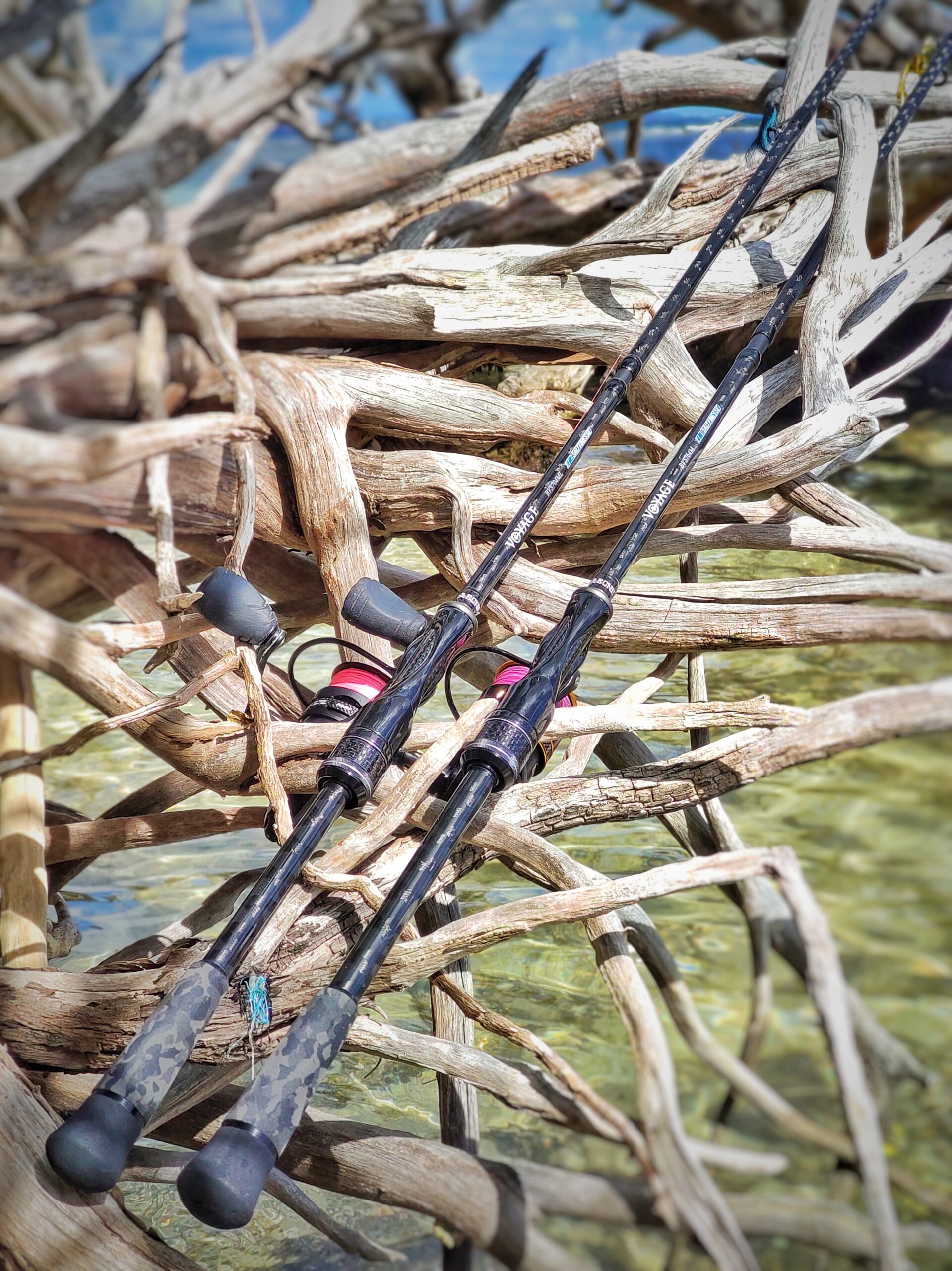 Bone Voyage Salt finesse