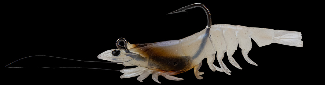 Zerek Absolut Shrimp