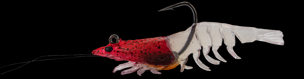 Zerek Absolut Shrimp