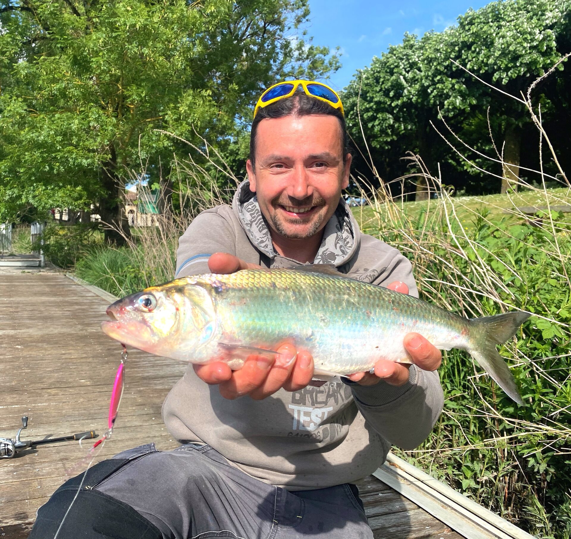 La pêche de l'alose