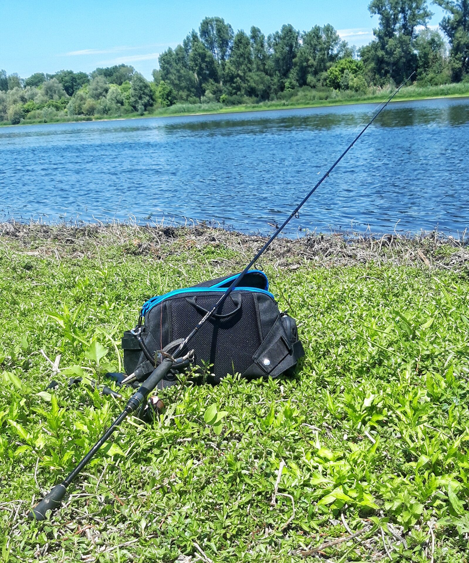 Pêche du barbeau au leurre