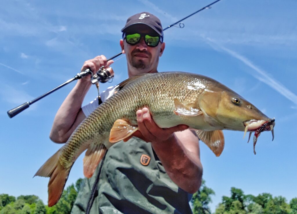 Pêche du barbeau au leurre