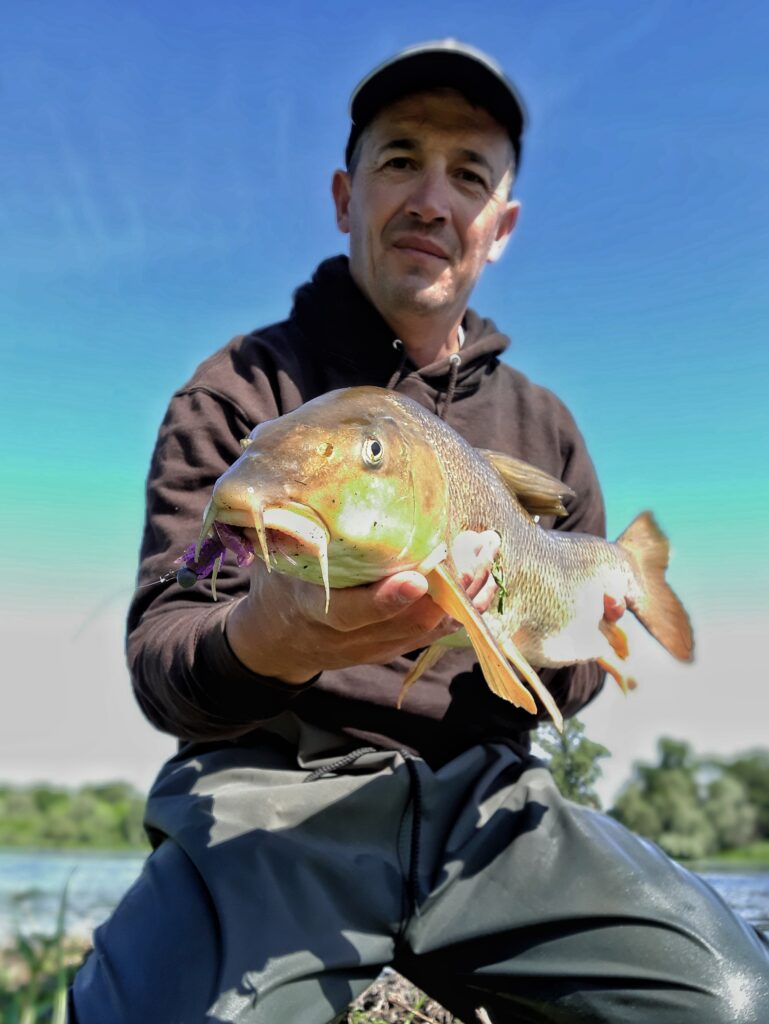 Pêche du barbeau au leurre