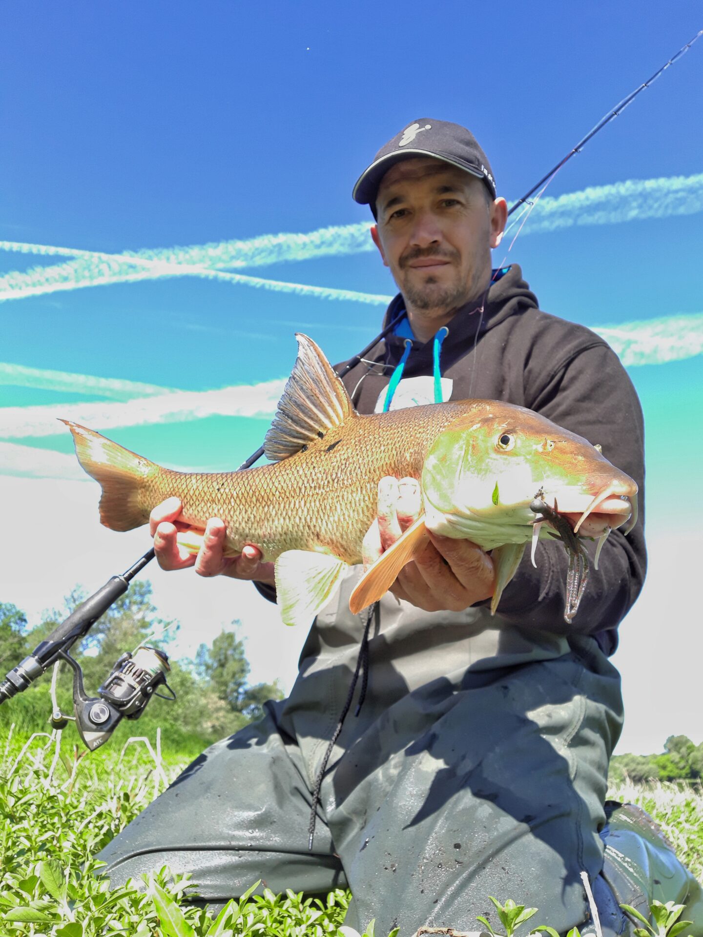 Pêche du barbeau au leurre