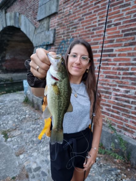 pêche canal du midi