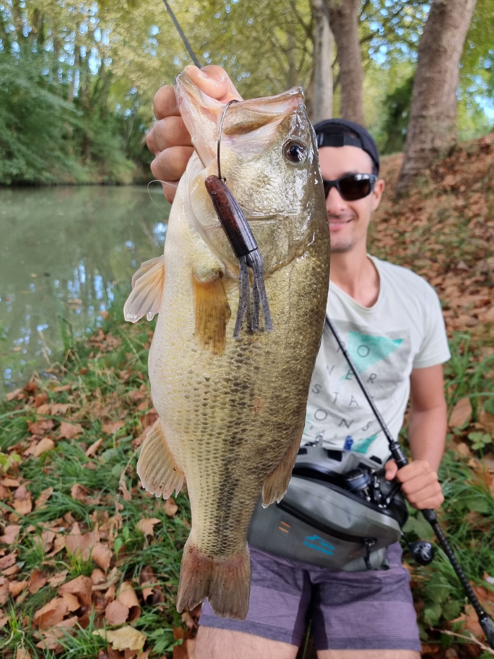 pêche canal du midi