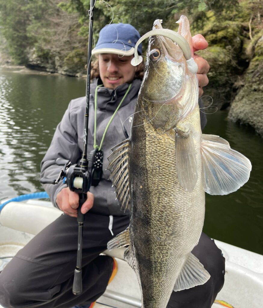 Le Easy Shiner Pro Blue pour la traque du sandre