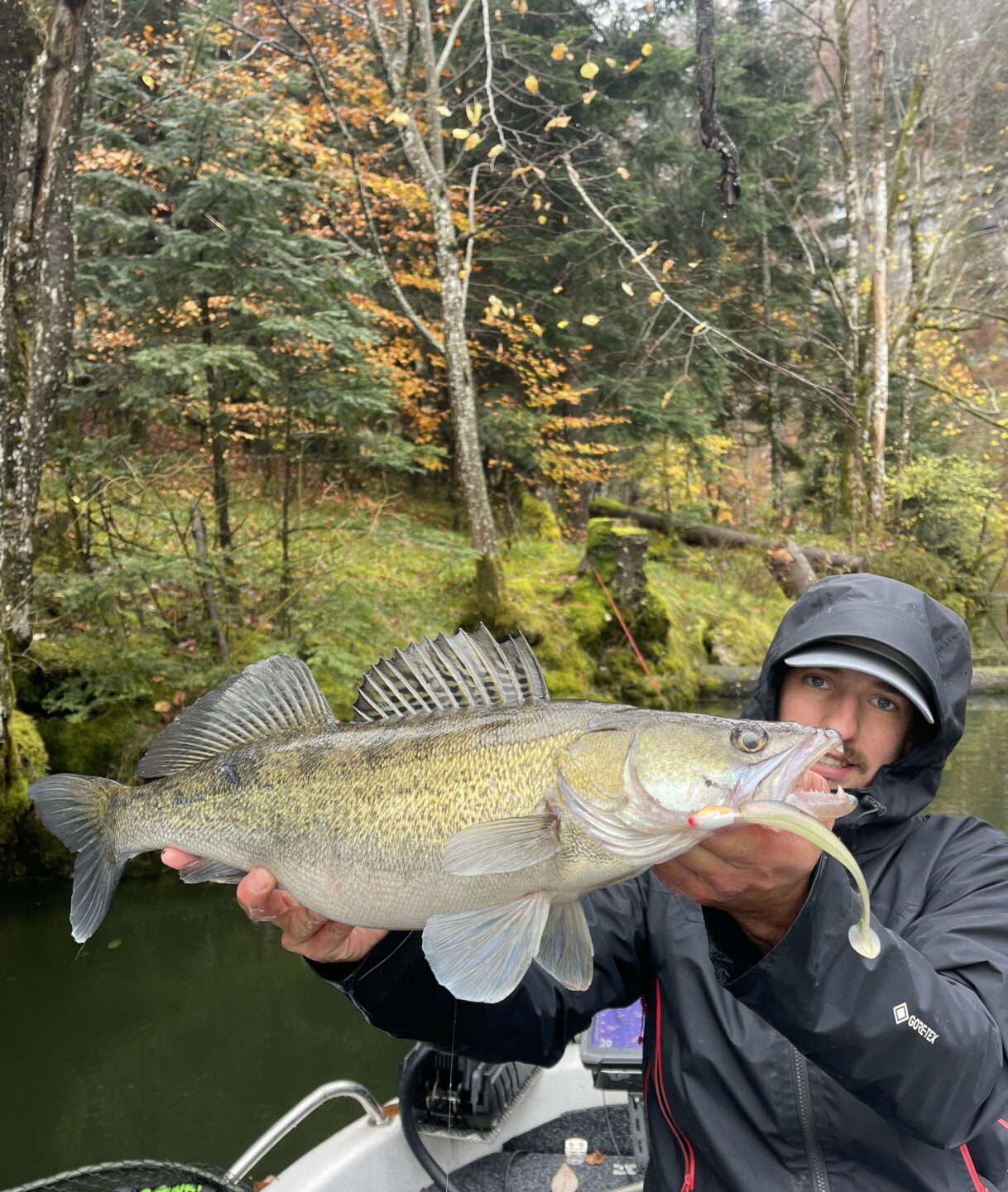 Le Easy Shiner Pro Blue pour la traque du sandre
